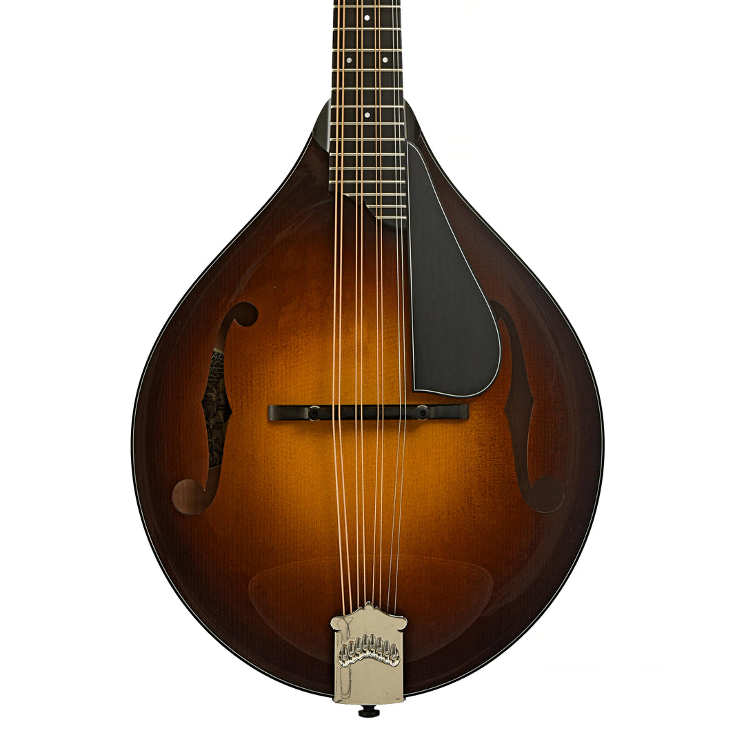 Mandolas Collection for Rich, Warm Tone and Versatility | Elderly ...