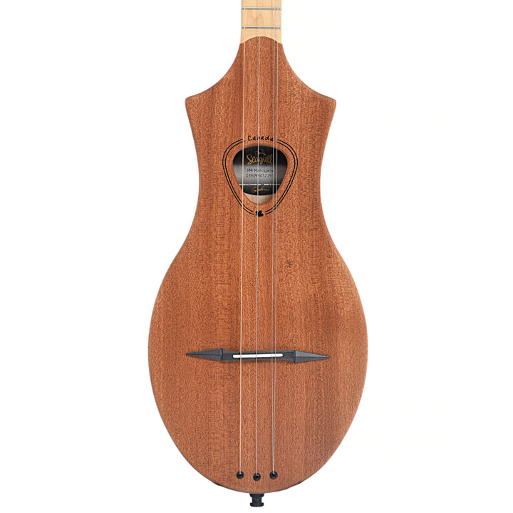 Dulcimer For Sale Collection | Elderly Instruments