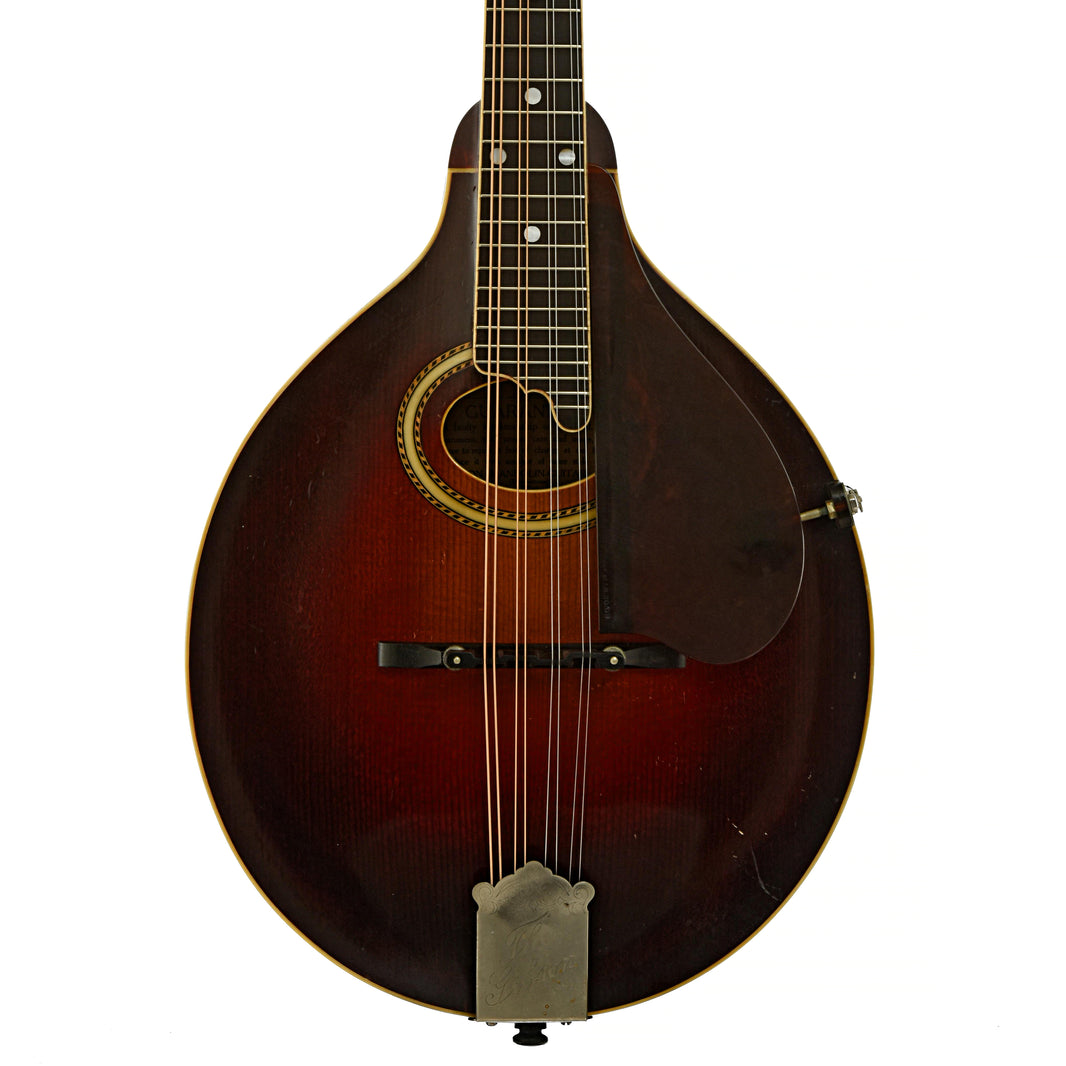 Gibson Mandolins Collection for Classic Tone | Elderly Instruments