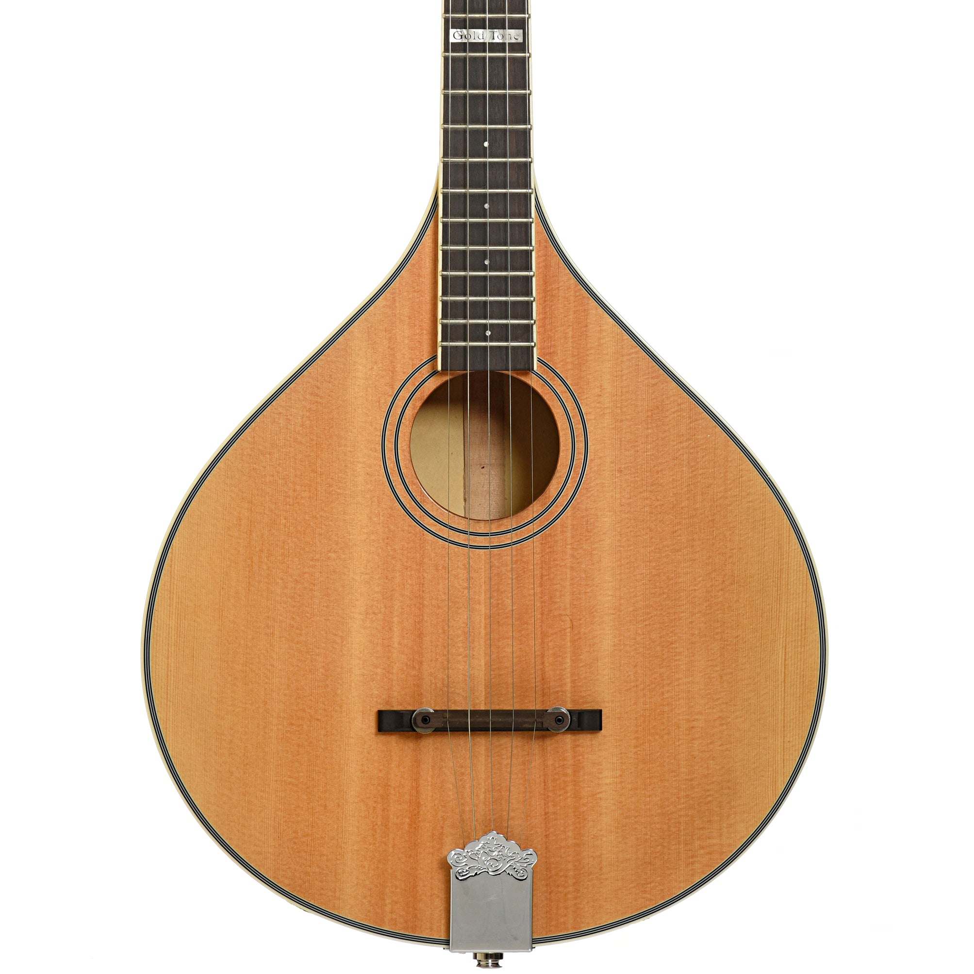 Gold Tone Banjola+ with Pickup & Gigbag, Fully Fretted – Elderly ...