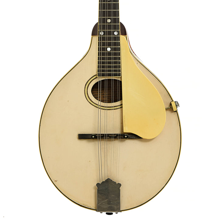 Gibson Mandolins Collection for Classic Tone | Elderly Instruments