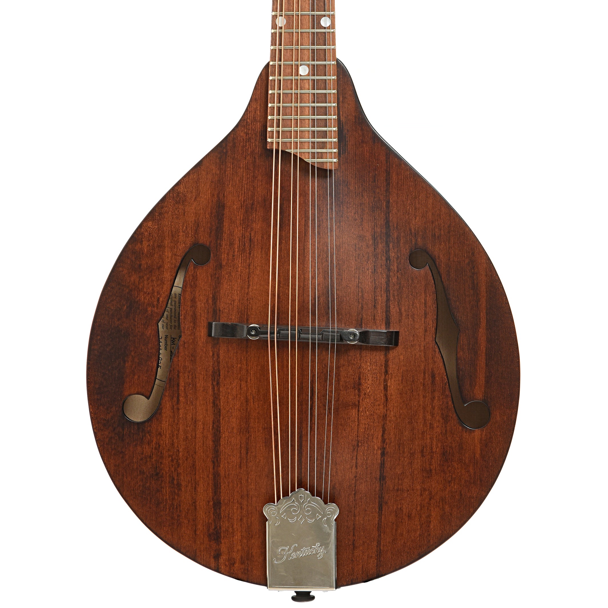 Kentucky KM-206 A-Model Mandolin – Elderly Instruments