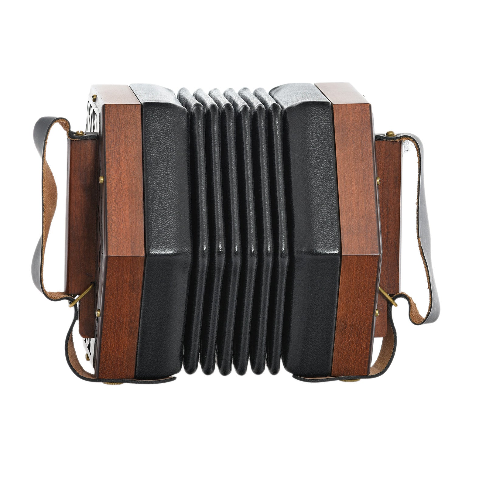 Squeezeboxes – Elderly Instruments