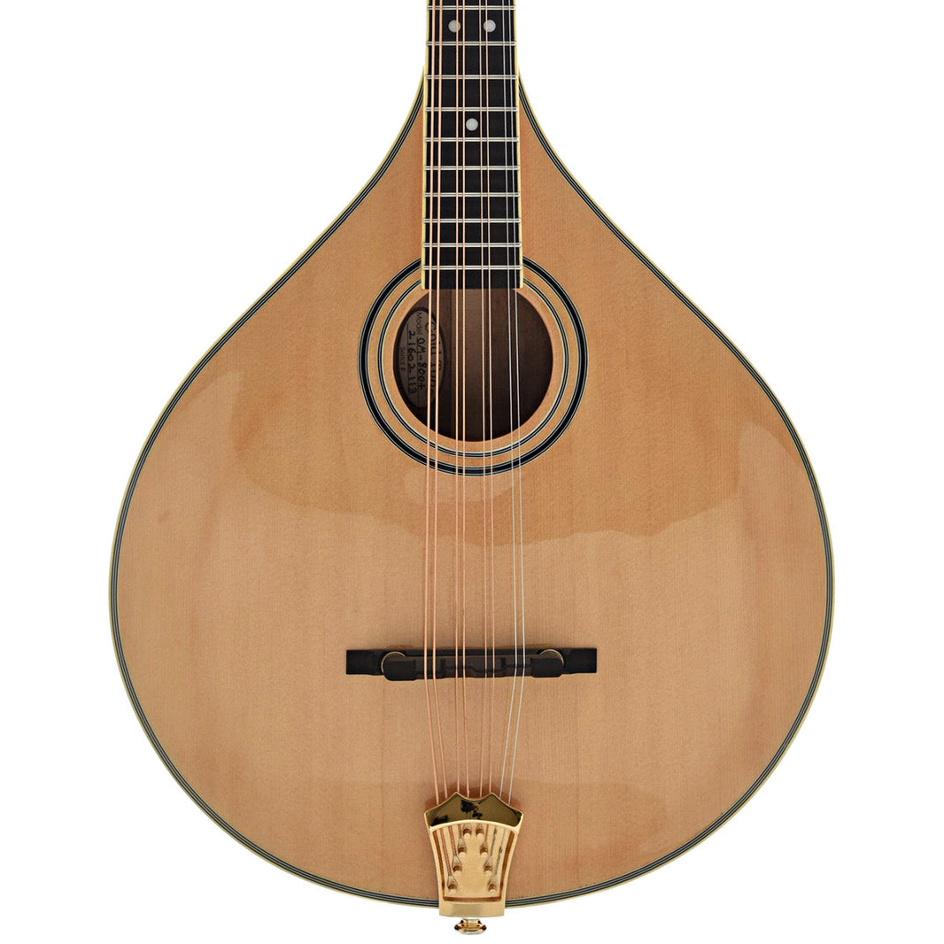 Octave Mandolin For Sale and Irish Bouzoukis | Elderly Instruments