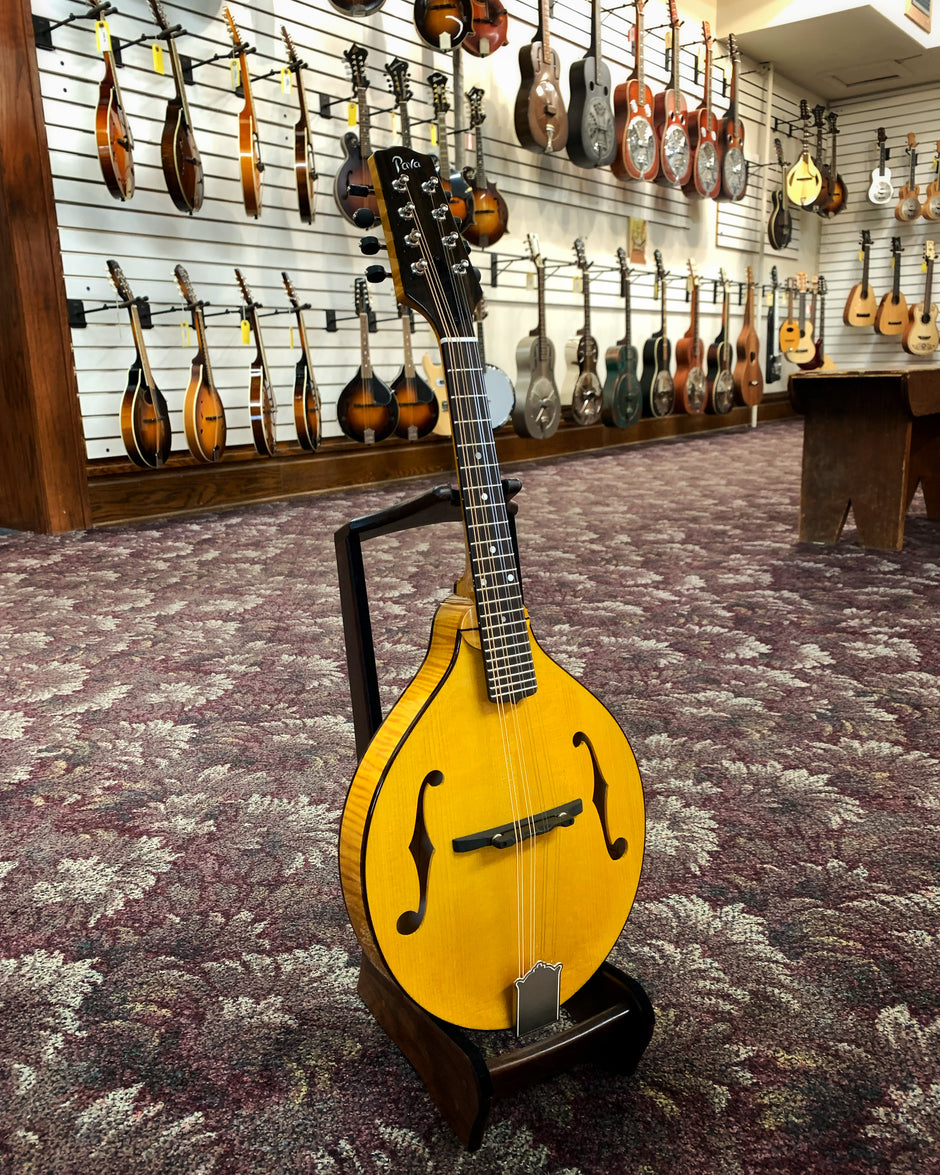 Mandolin Family Instruments | Elderly Instruments