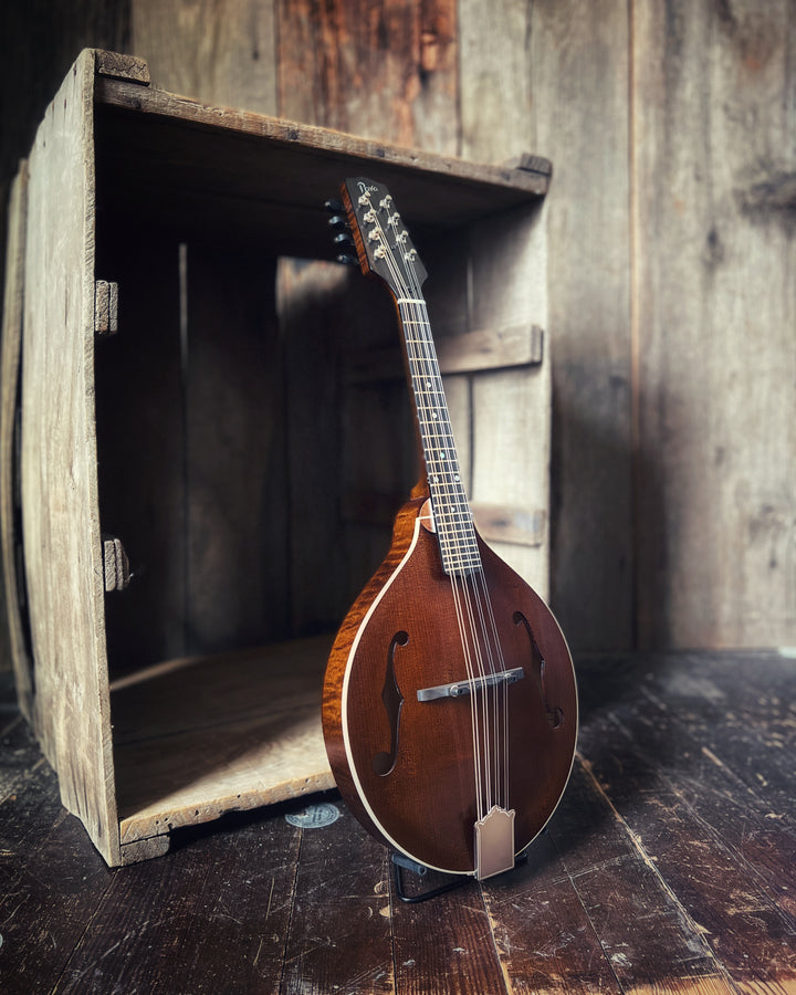 Mandolin Family Instruments | Elderly Instruments