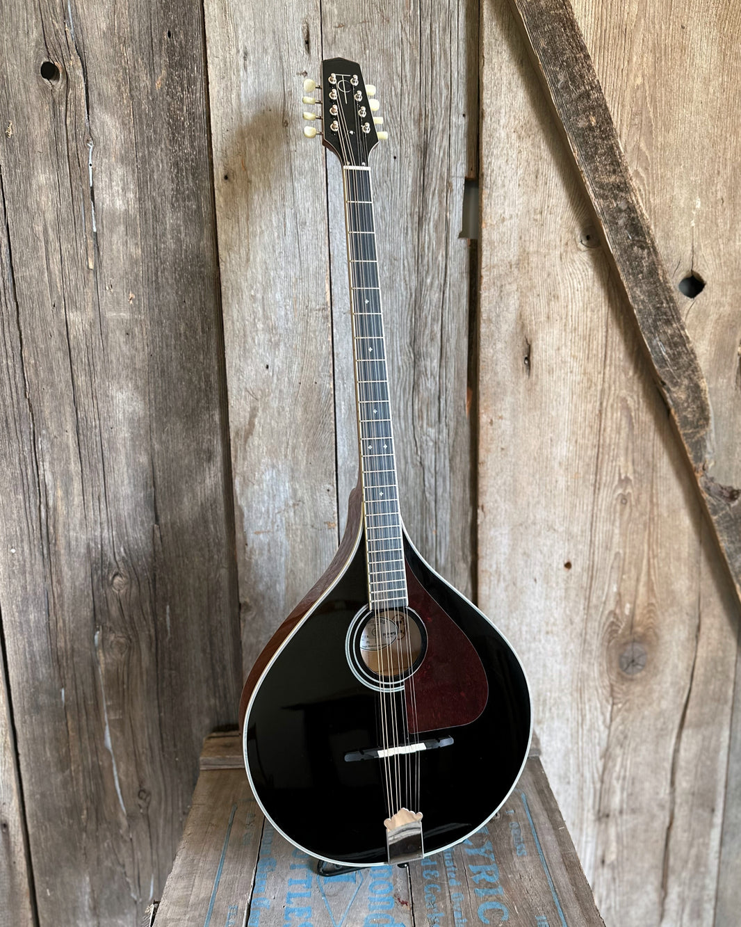 Octave Mandolin For Sale and Irish Bouzoukis | Elderly Instruments