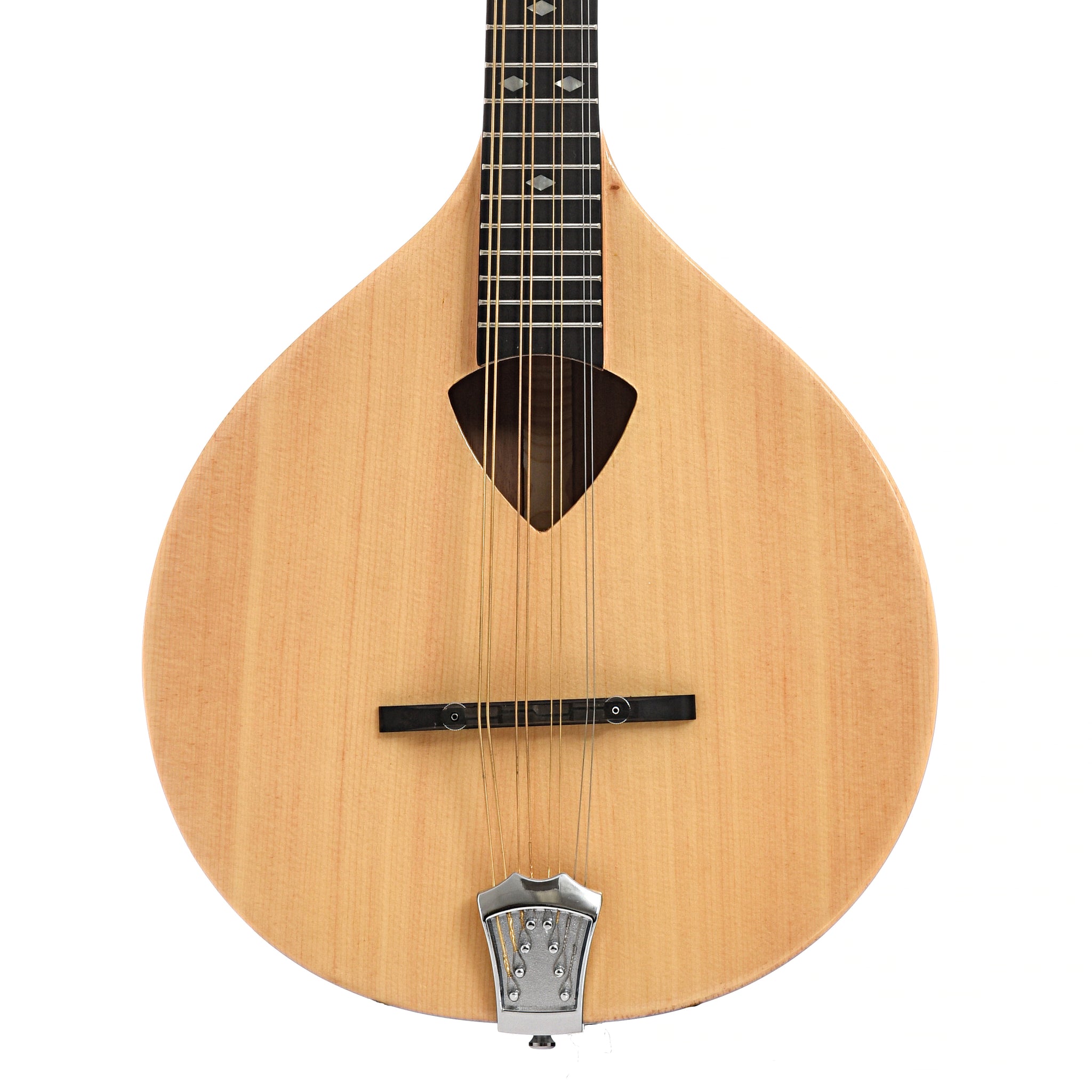 Gold Tone Mandola & Gigbag – Elderly Instruments