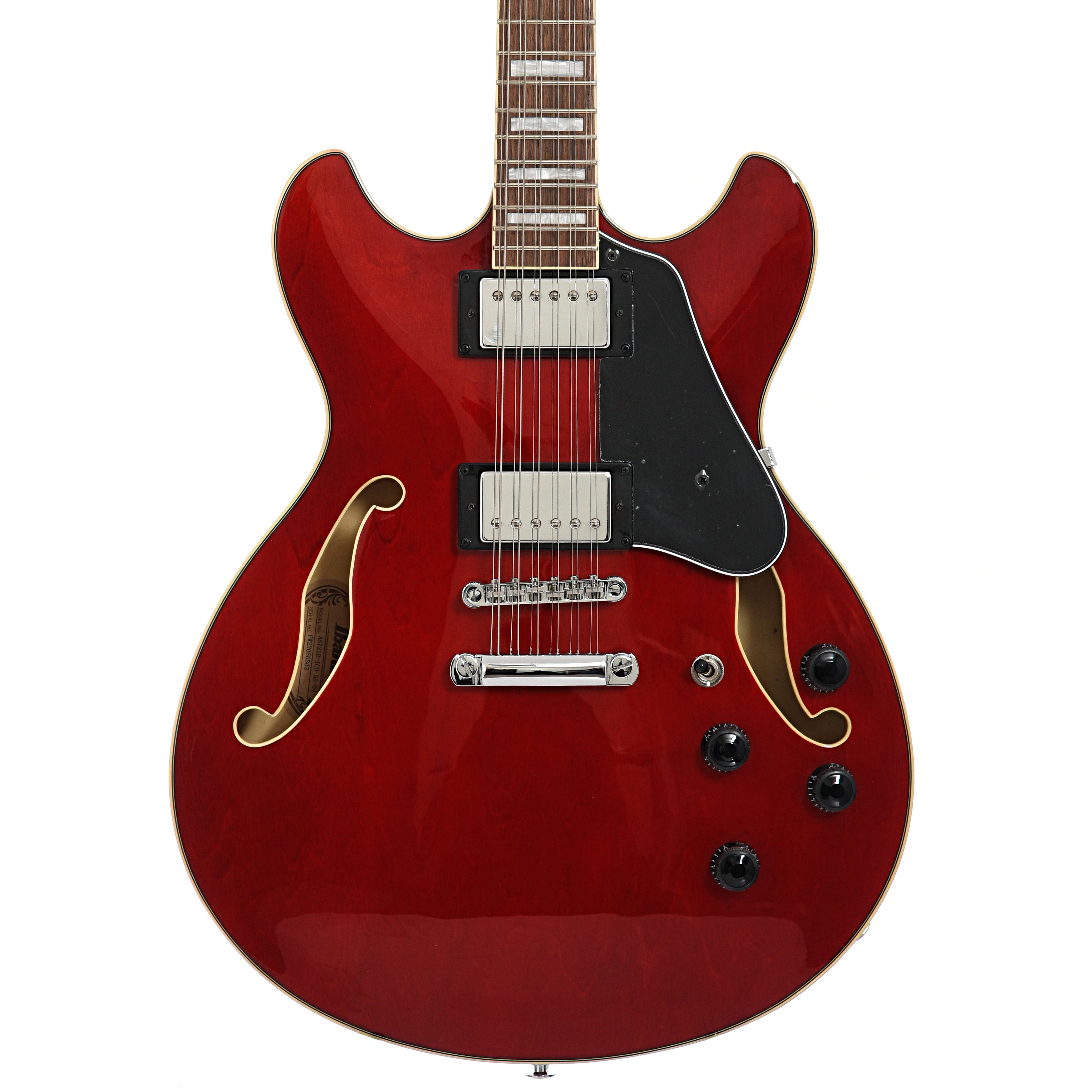 12 String Electric Guitars – Elderly Instruments