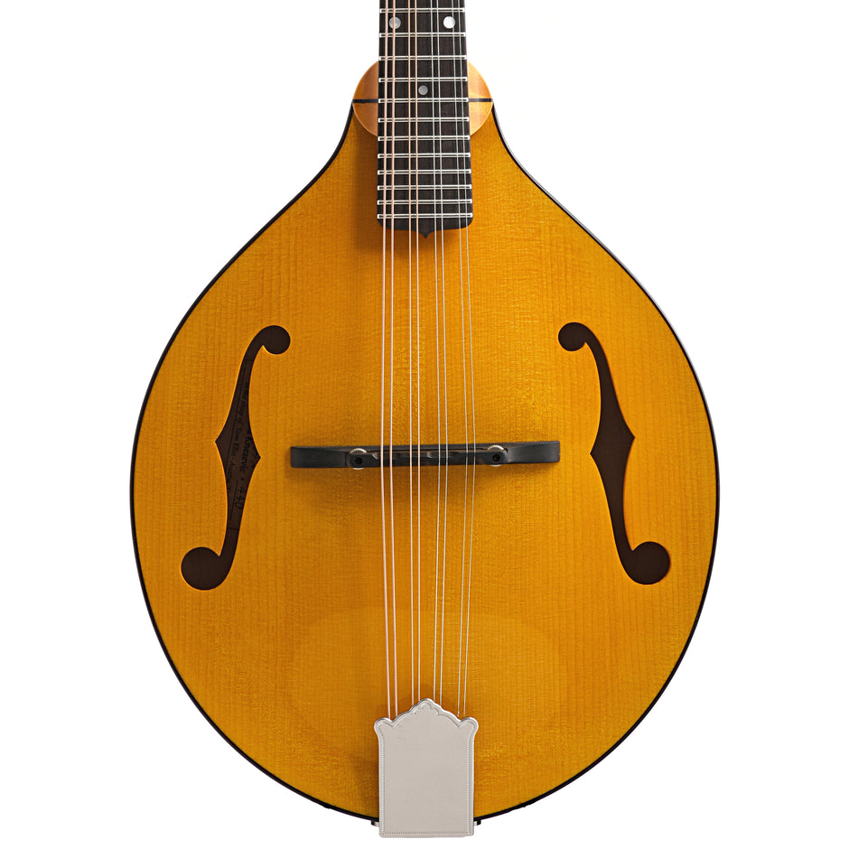 Mandolin Family Instruments | Elderly Instruments
