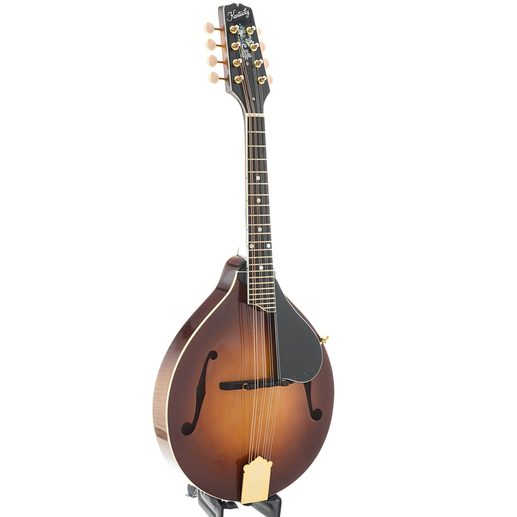 The Mandolin Shop