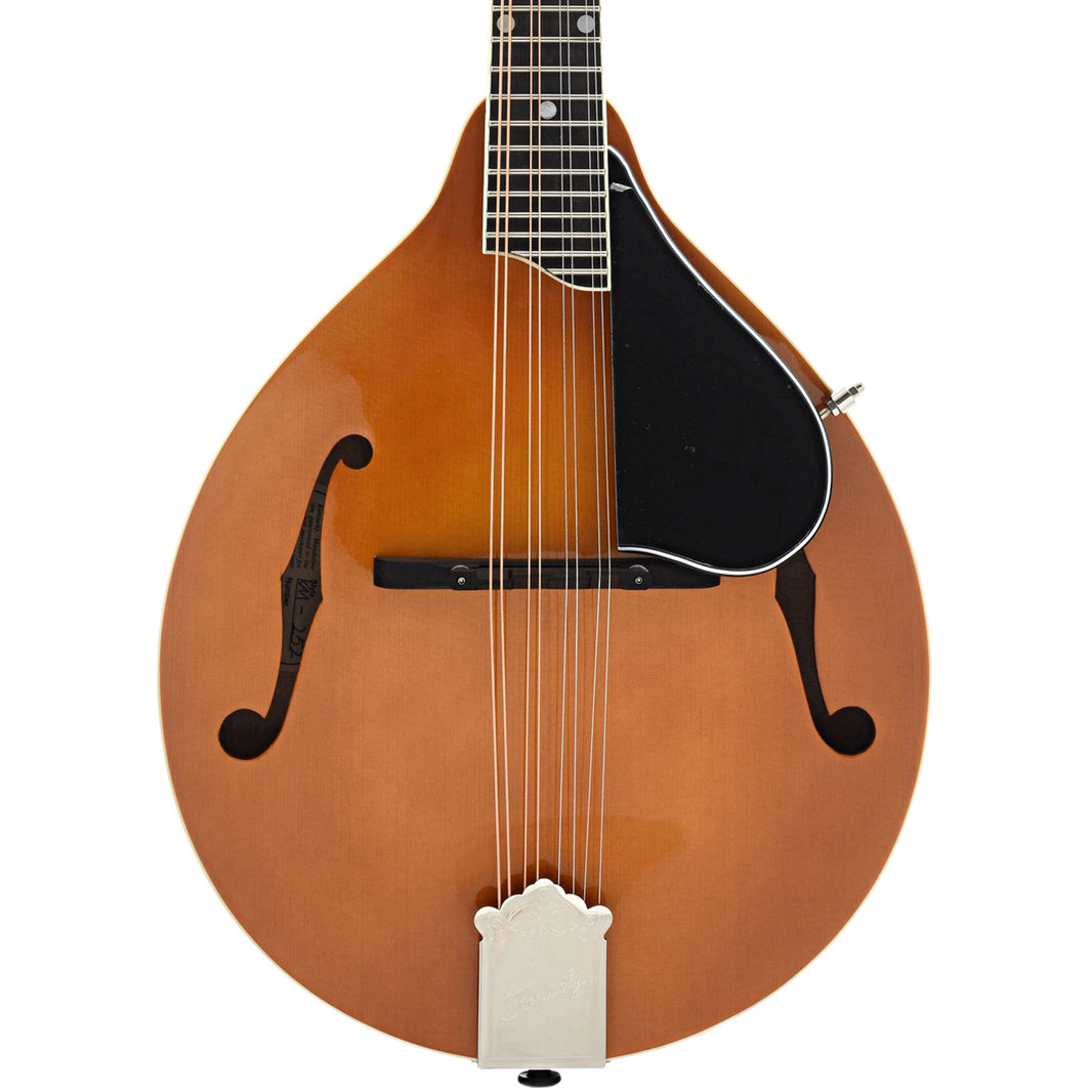 Kentucky Mandolin Collection for Every Player | Elderly Instruments