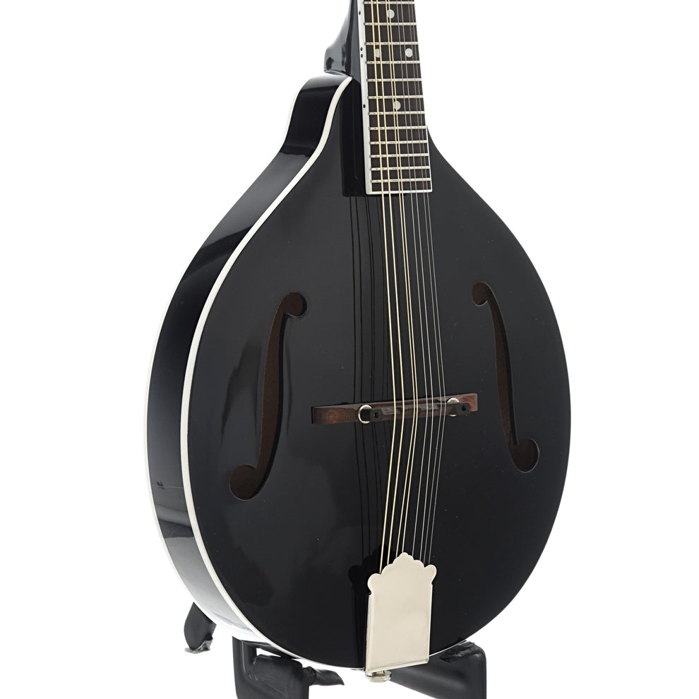 Rover RM-50B Mandolin, A-Model – Elderly Instruments