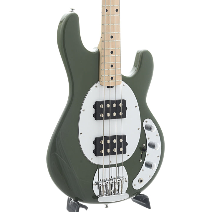 Basses Collection for All Players | Elderly Instruments