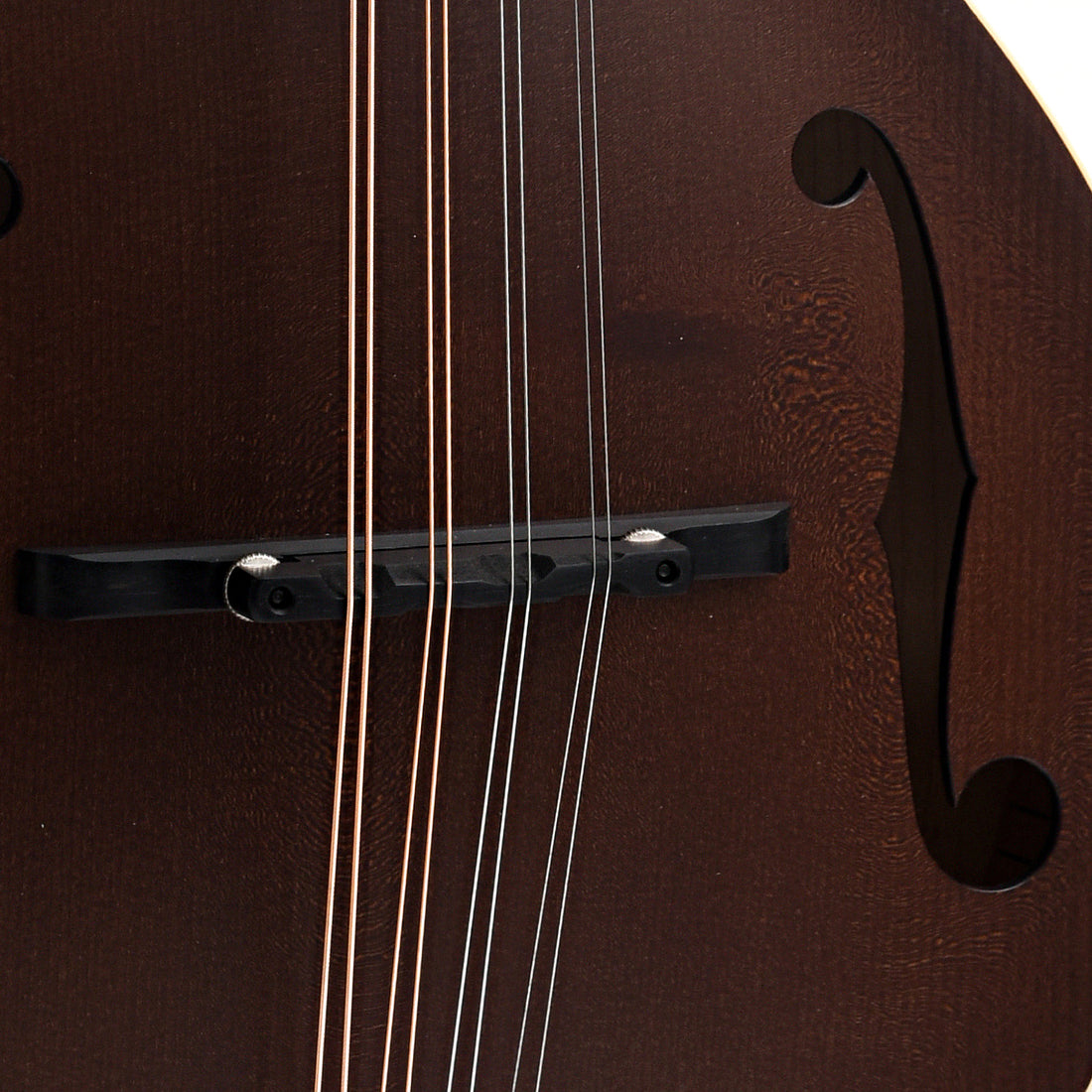 Collings MT A-Model, Sheraton Brown with Ivoroid Binding & Case