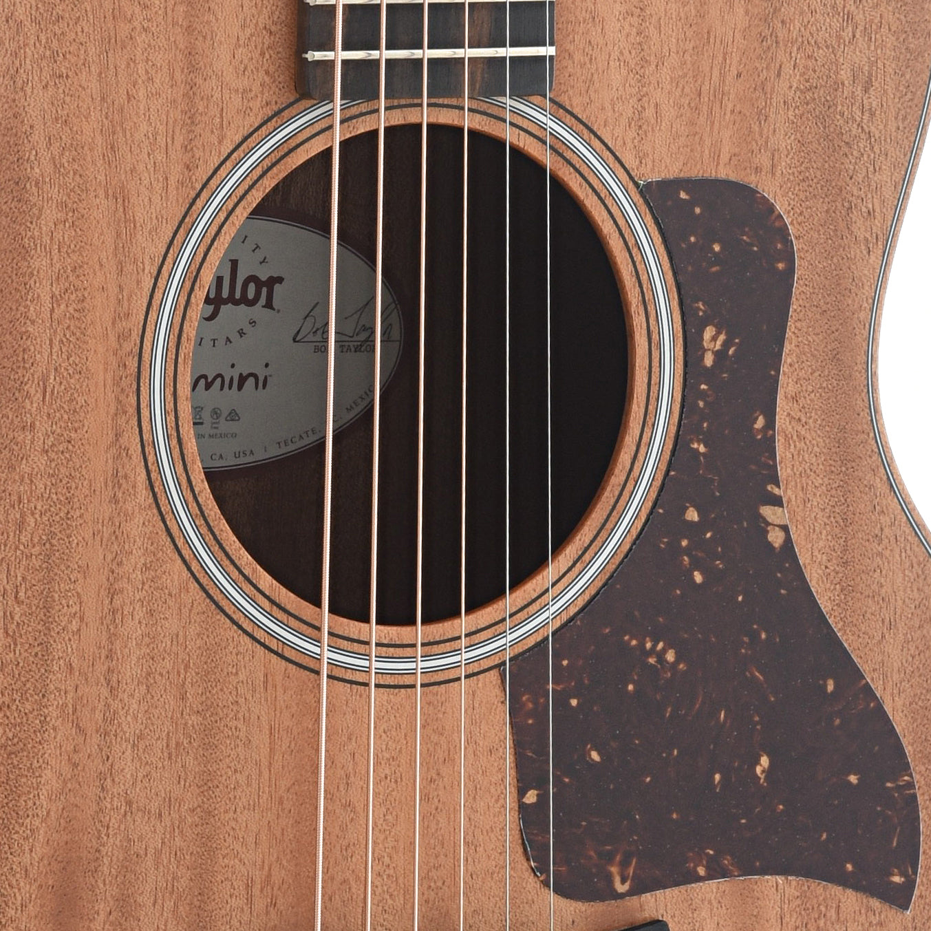 Taylor GS Mini-e Mahogany & Bag