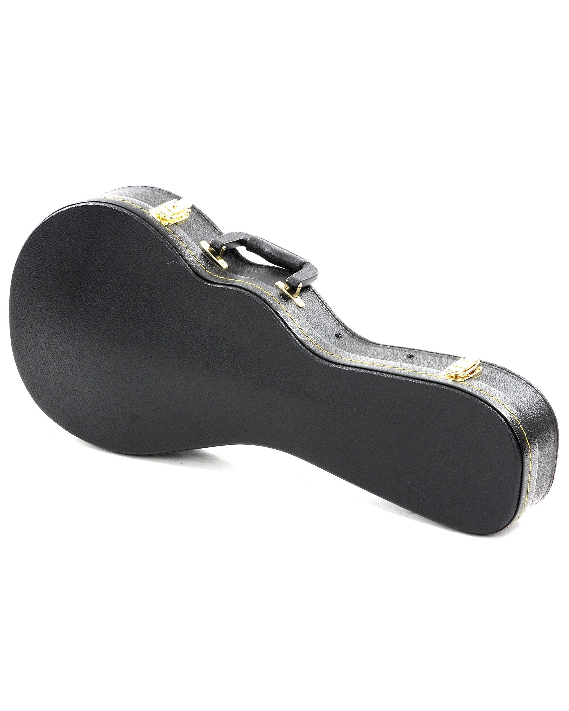 Guardian F-Mandolin Case – Elderly Instruments